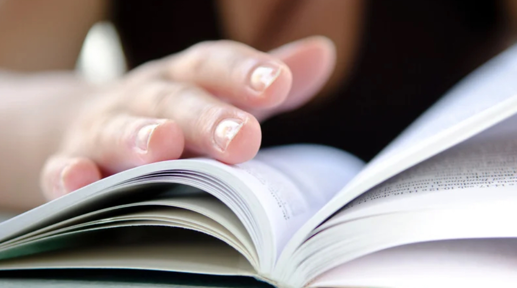 Ovulation 101: Your Ultimate Guide